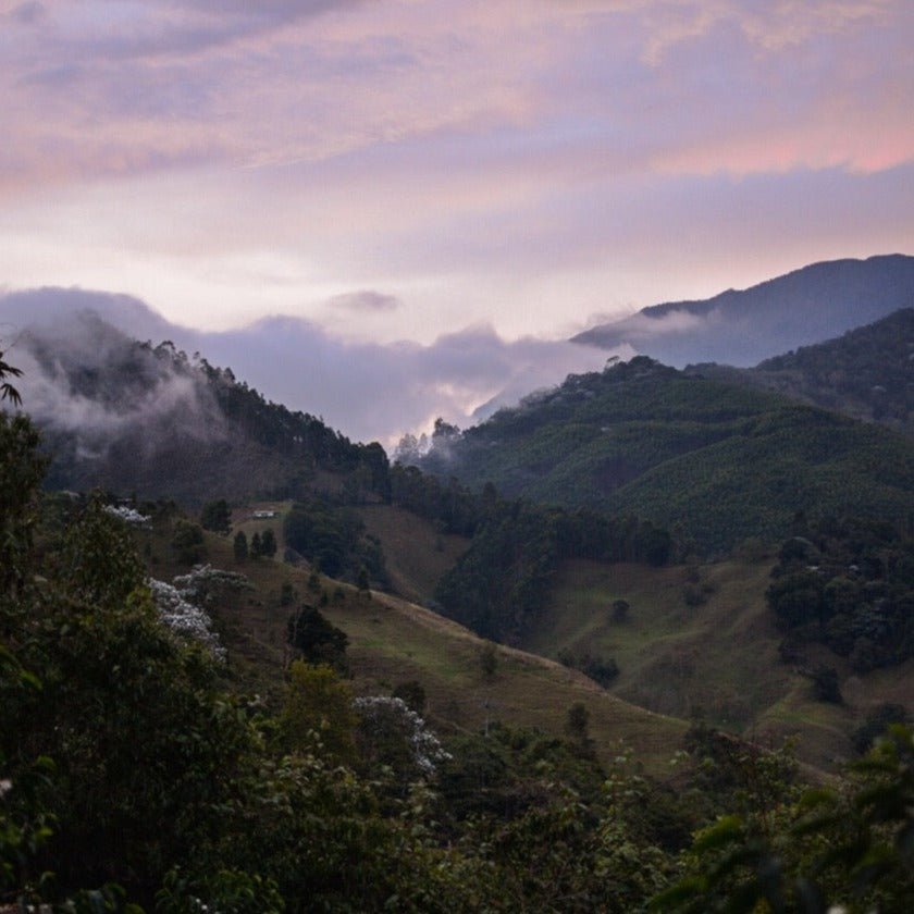 Standout Coffee | Worlds best coffee roasted on demand